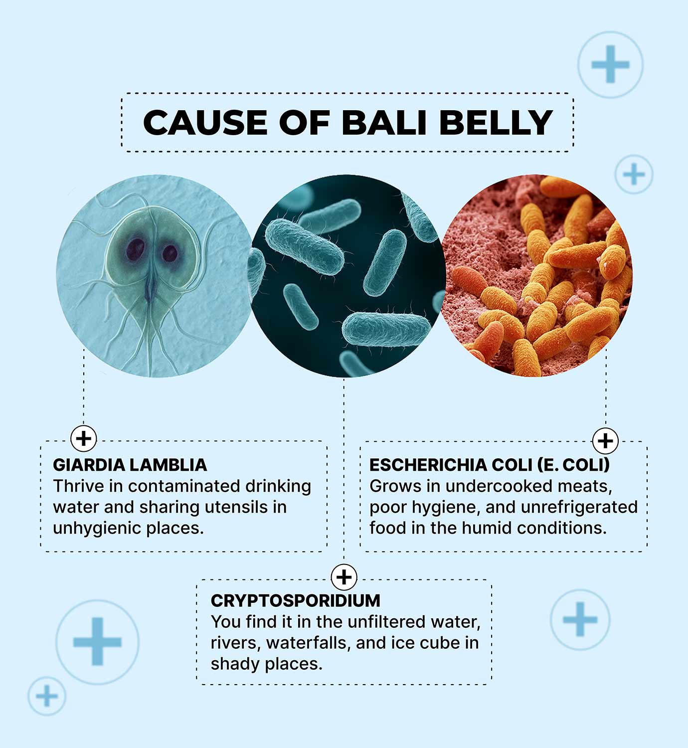 Bali Belly: Prevention, Symptoms & Fast Relief Guide