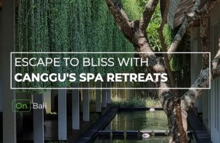 Discover the Best Spas in Canggu – Massages, Facials & More
