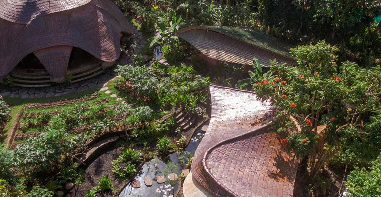 5 Renowned Yoga Studios in Ubud for 2024