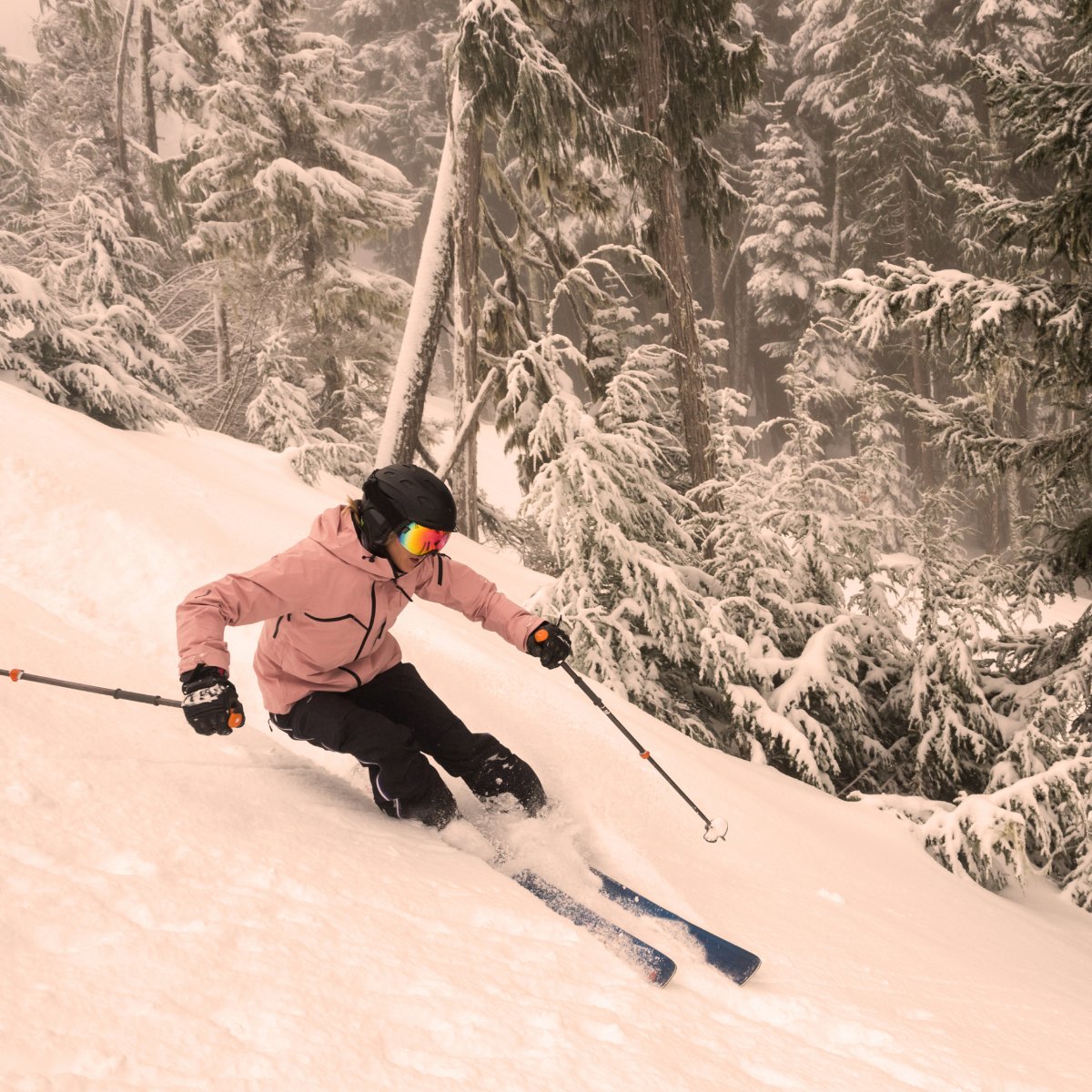 Donna Ubud Restaurant | Menu, Reviews & Reservations